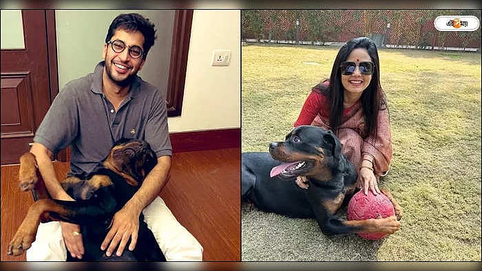 Mahua Moitra Jay Anant Dehadrai : 'পোষ্য কুকুর চুরির থেকেও বড় অপরাধ ...