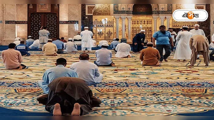 Meo Muslims : পাণ্ডবদের বংশধর বলে বিশ্বাস, পালন করেন হিন্দু উৎসব ...