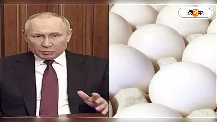 Russia Egg Price : ডিমের দাম আকাশছোঁয়া, মহিলার অভিযোগ শুনে ...