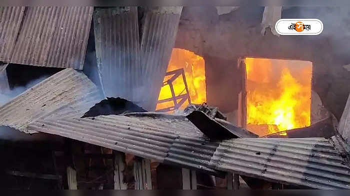 Darjeeling Fire : দার্জিলিঙে ভয়ঙ্কর অগ্নিকাণ্ড! পুড়ে ছাই জাতীয় ...