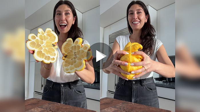 Devil Fruit,ভাইরাল শয়তানের ফল! ভিডিয়ো দেখে অবাক নেটপাড়া - video of ...