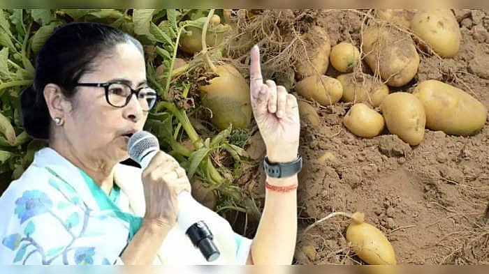 WB Budget 2024 | West Bengal Budget 2024 Potato Farmers Will Get Crop ...
