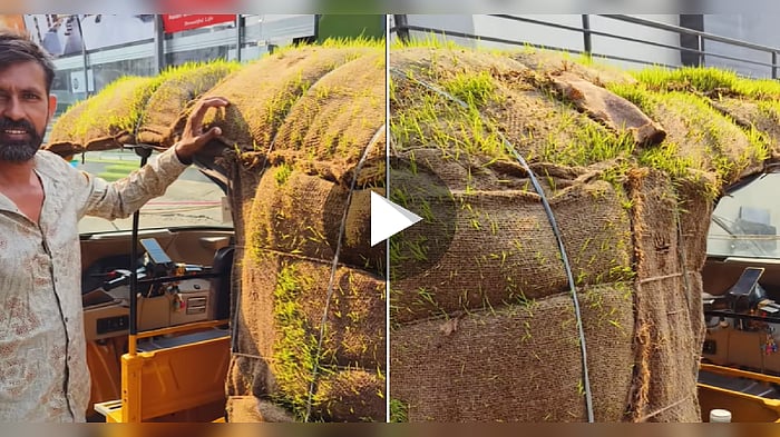 Viral Video,গরম থেকে স্বস্তি পেতে অভিনব ব্যবস্থা! অটোয় ঘাস লাগালেন ...