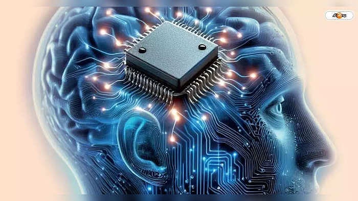 Woman Have Small Brain Size Then Men,পুরুষ নাকি নারী, বুদ্ধির জোরে কার ...