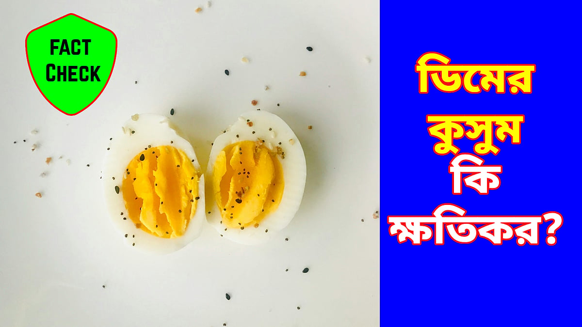Fact Check: ডিমের কুসুম খাওয়া কি আসলে ক্ষতিকর? সত্যিটা জানালেন চিকিৎসক ...
