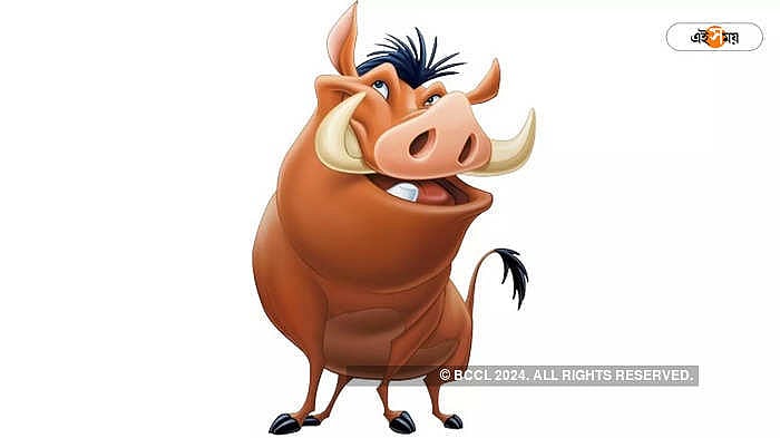 পুম্বা - in the year 1994 disney produced movie the lion king character ...