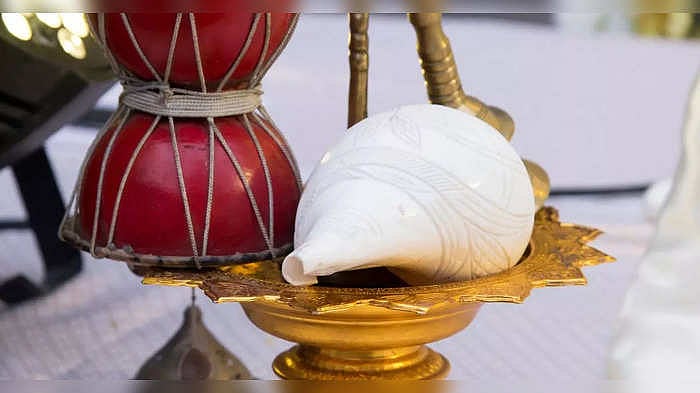 Conch Shell Remedies | 7 remedies of conch shell for 7 days a week to ...