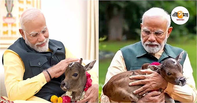 প্রধানমন্ত্রীর বাসভবনে নতুন সদস্য, আদর করে কী নাম রাখলেন মোদী? - new ...