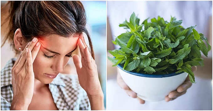 Herbs For Migraine Headaches,মাইগ্রেনের সমস্যায় ভোগেন? এ সব ভেষজকেই ...