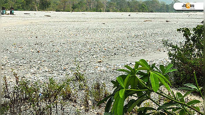Buxa Tiger Reserve,ভুটানের চাপে আয়ু কমছে জয়ন্তীর - poor condition of ...