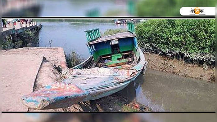 বিএসএফের তাড়া খেয়ে গোরু ফেলে জলে ঝাঁপ দিল পাচারকারীরা - cow poachers ...