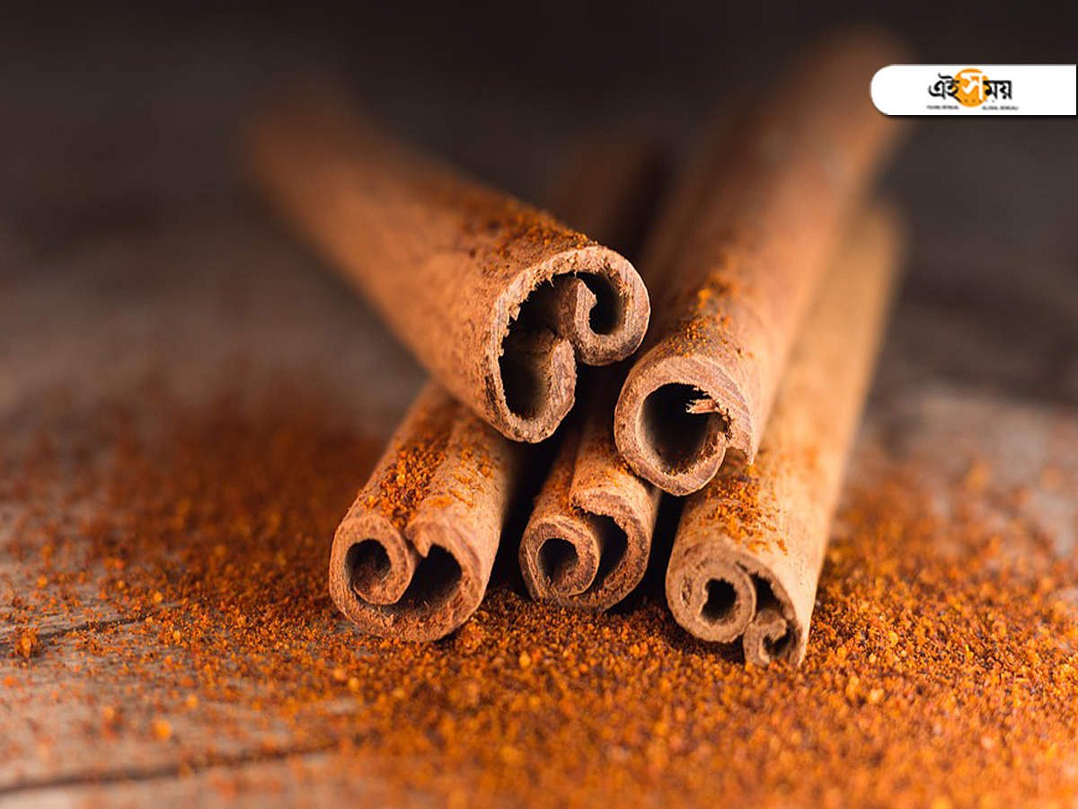 Cinnamon,শীতে ত্বককে আরও জেল্লাদার সুন্দর, উজ্জ্বল করতে চান? পরখ করে ...