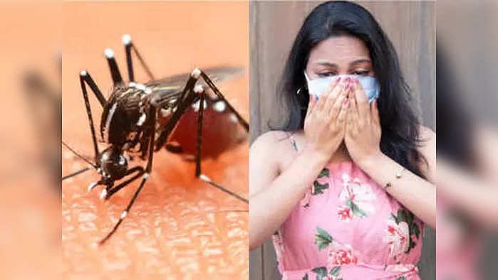 Today Dengue Malaria Active Cases In Kolkata,বিধাননগর, দমদমে বাড়ছে ডেঙ্গির প্রকোপ - dengue ...
