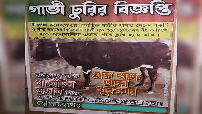 Cow Missing,হারিয়েছে সাধের গোরু, সন্ধান দিলেই পাবেন ১ লাখ! - cow ...
