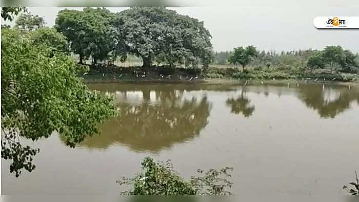 Durgapur Pin Code,Durgapur News: পুকুরে মাছ চুরির প্রতিবাদের জের ...