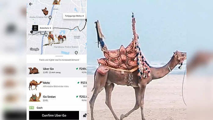 কলকাতা এখন মরুশহর! Uber-এর উট সার্ভিস ভাইরাল ইন্টারনেটে - viral uber ...