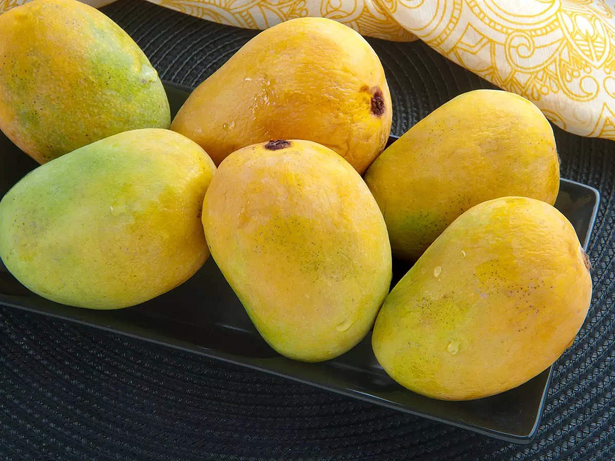 Soaking Mango in Water: পাকা আম খাওয়ার আগে জলে ভিজিয়ে কেন রাখতে বলেন ...