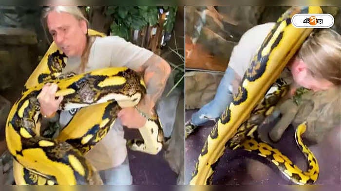 20 ফুটের বিশাল পাইথন পেঁচিয়ে ধরেছে ব্যক্তিকে! চোখ কপালে উঠেছে নেটিজেনদের - a man playing with ...