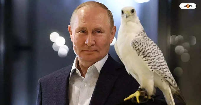 Vladimir Putin : এলন মাস্কের থেকেও বেশি সম্পত্তি! ১০ হাজার কোটির ...