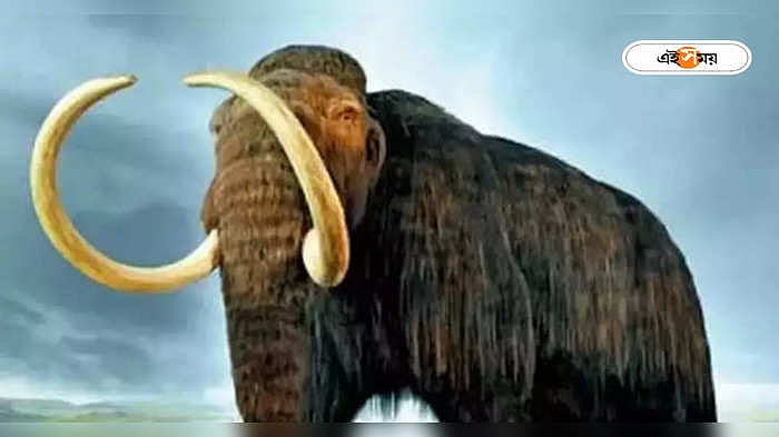 Mammoth Virus: ৪ লাখ বছরের পুরনো ভাইরাসের ঘুম ভাঙাচ্ছে রাশিয়া? কোভিডের ...