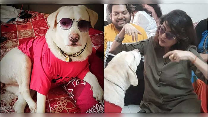 Sontu Dog: পাঁচ লাখ ফলোয়ার্সের সঙ্গে অনুরাগী 'কলকাতার রসগোল্লা ...