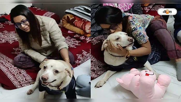 Sontu Dog : বাংলায় এসে 'সেলেব খাতির' সন্টুর, ইমনের সঙ্গে 'আদুরে ছবি ...