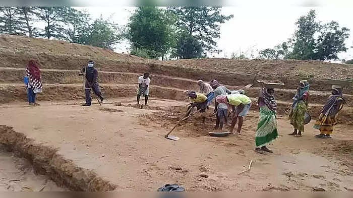 100 Days Work Job Card : ১ জানুয়ারি থেকে ১০০ দিনের কাজে অ্যাপে হাজিরা ...