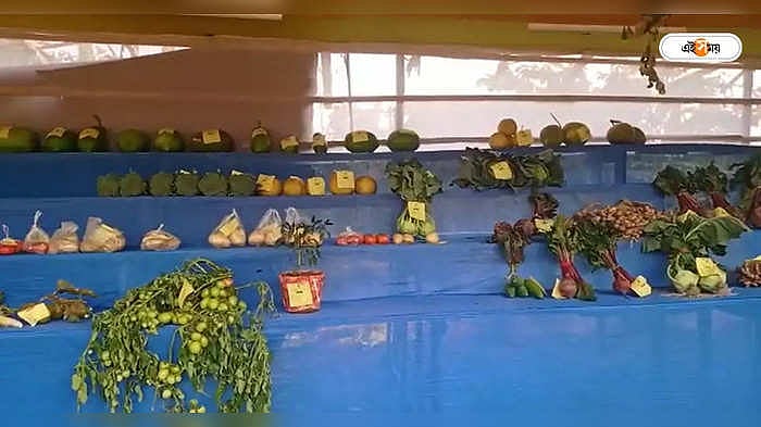 Banipur Lok Utsav 2023 : বাংলার দ্বিতীয় বৃহত্তম লোক উৎসব, বানীপুর ...