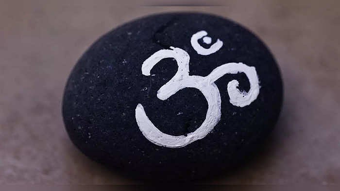 Shaligram Stone: হিন্দু ধর্মে কেন এত মাহাত্ম্যপূর্ণ শালিগ্রাম শিলা ...