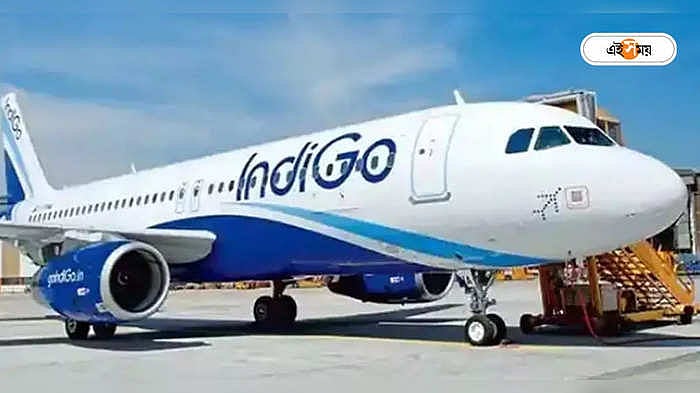 Indigo Flight : মাঝ আকাশে ইন্ডিগোর বিমানসেবিকাকে শ্লীলতাহনির অভিযোগ ...