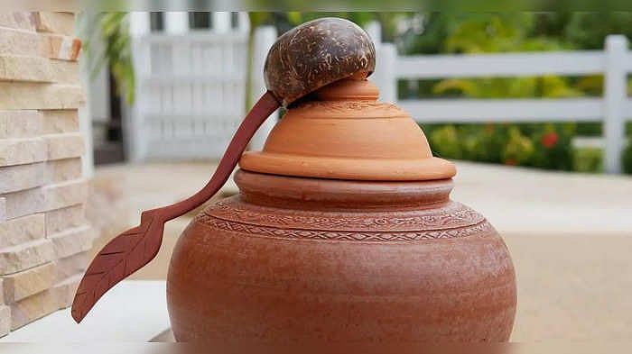 Vastu Tips: বাড়ির এই দিকে একটা মাটির পাত্র রাখুন, তাহলেই উথলে পড়বে ...