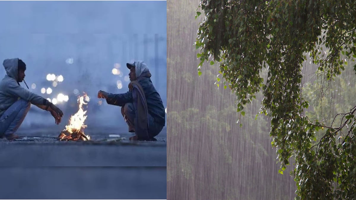 Cold wave returns to the state; The game of rain, cold, and heat continues