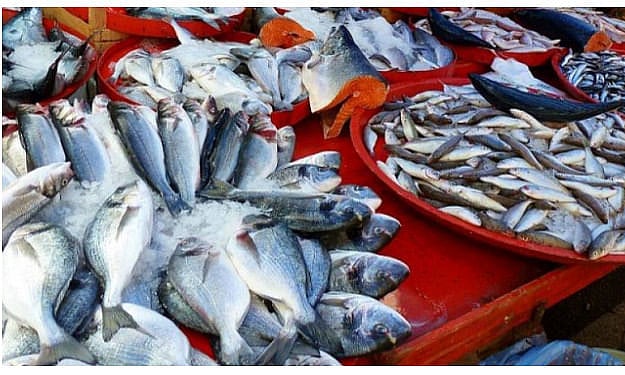 Operation by Tinsukia district administration against illegal fishing ...