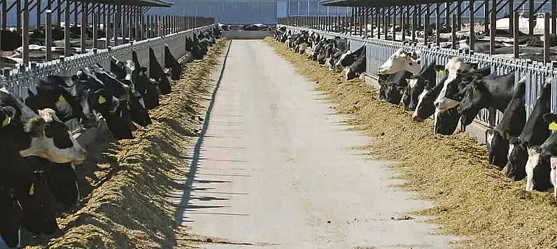 Dairy infrastructure fund to add 5 crore litre more milk, 30 lakh jobs