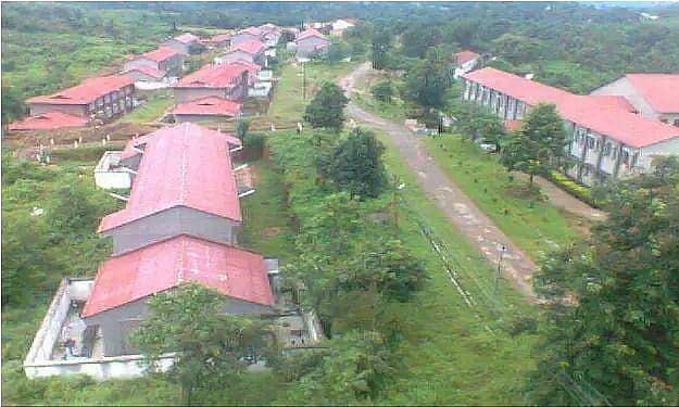 JNV Williamnagar registers 100 percent success rate