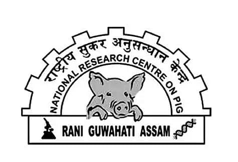 NRCP Pig Recruitment 2020 for Senior Research Fellow