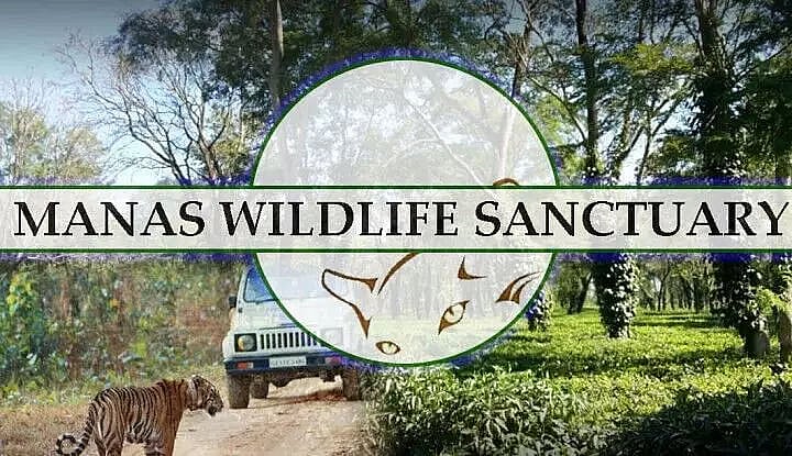 Manas Wildlife Sanctuary to reopen today after COVID lockdown
