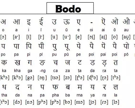 Bodo language deserves official language tag: SK Bwiswmuthiary