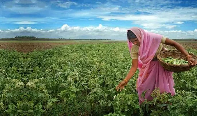 Pertinent issues need sustainable solution