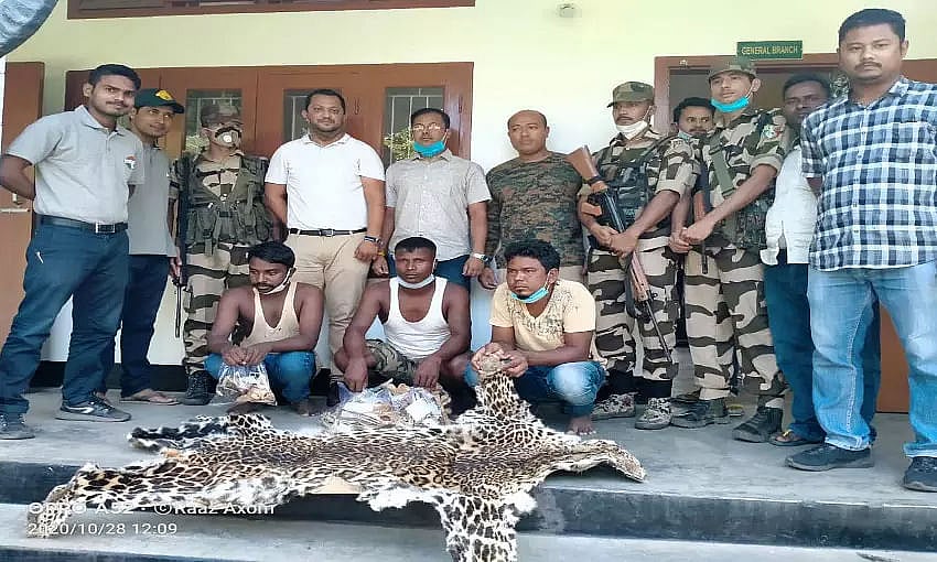 Three arrested with tiger skin, bones at Bihpukhuri in Biswanath