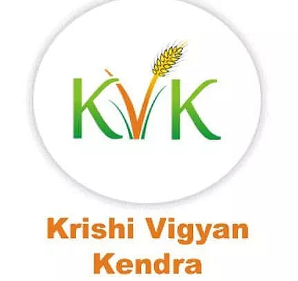 Krishi Vigyan Dibrugarh organizes field day on cultivation of Ranjit Sub-1