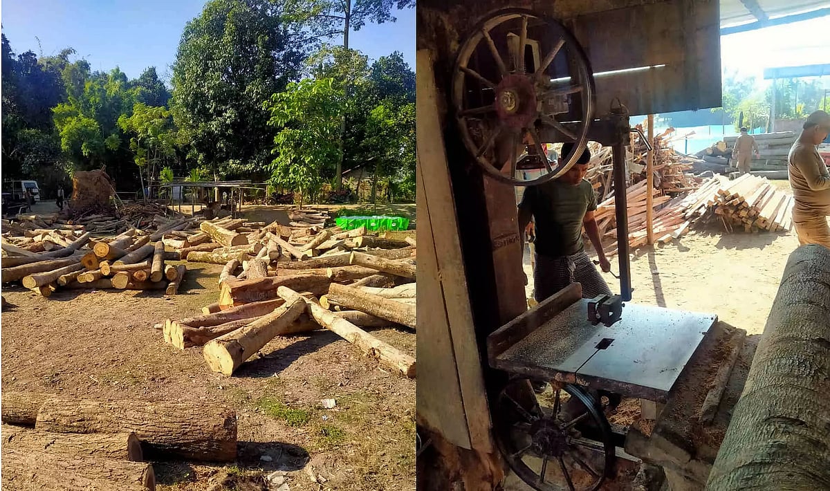 Illegal saw mill seized in Tamulpur district