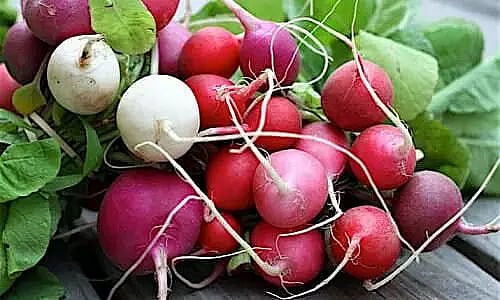 Health Benefits of Radish