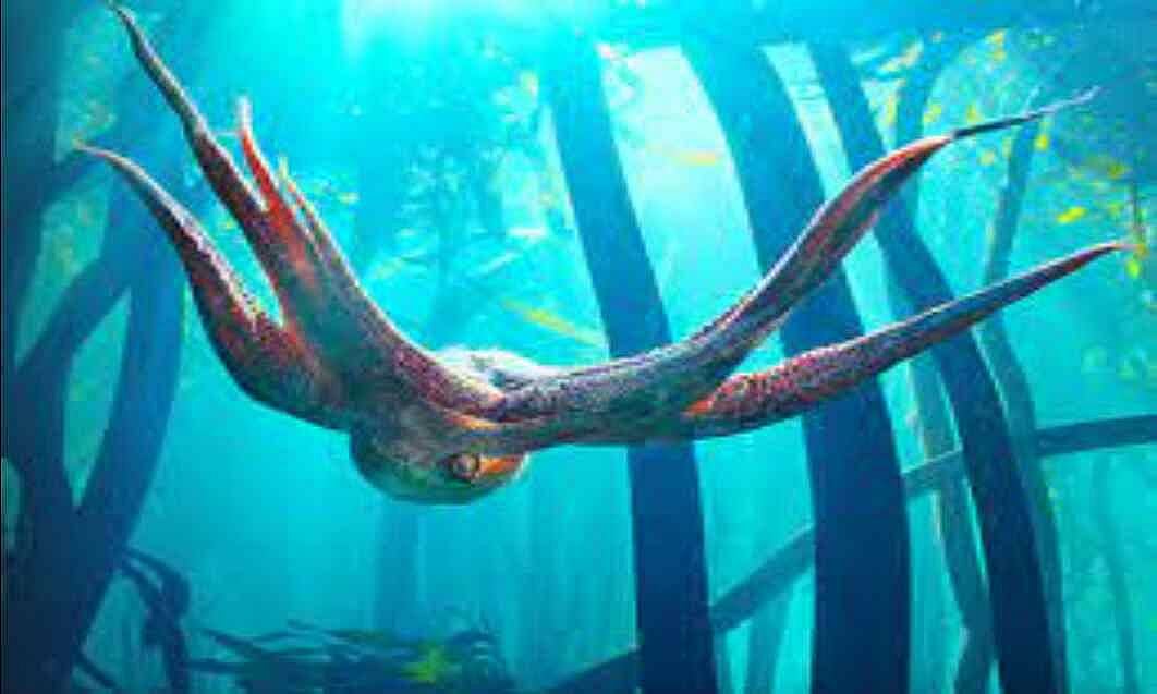 Unusual true love story of a human and an octopus wins Oscar!
