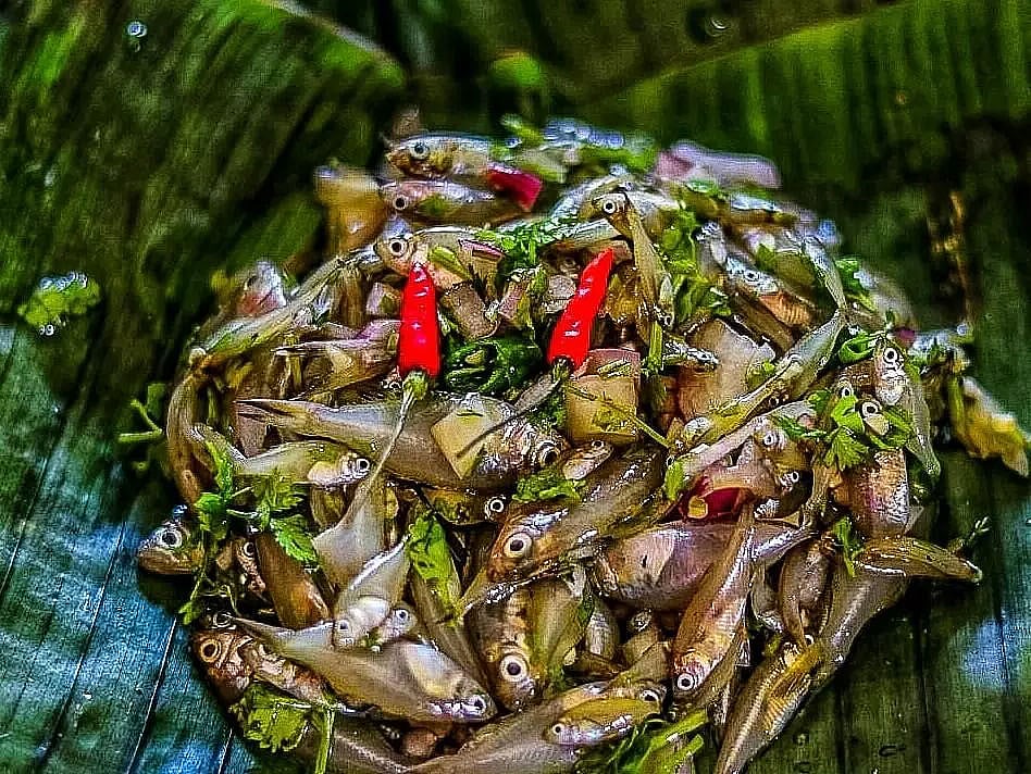 While at Home, Try These 10 Mouth-Watering Healthy Assamese Food