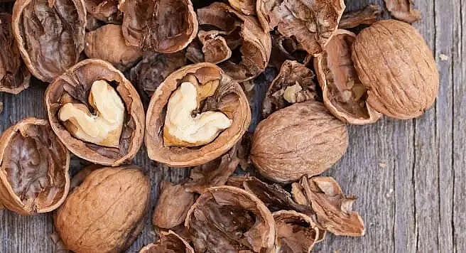 National Walnut Day: Remembering the Goodness of Walnuts