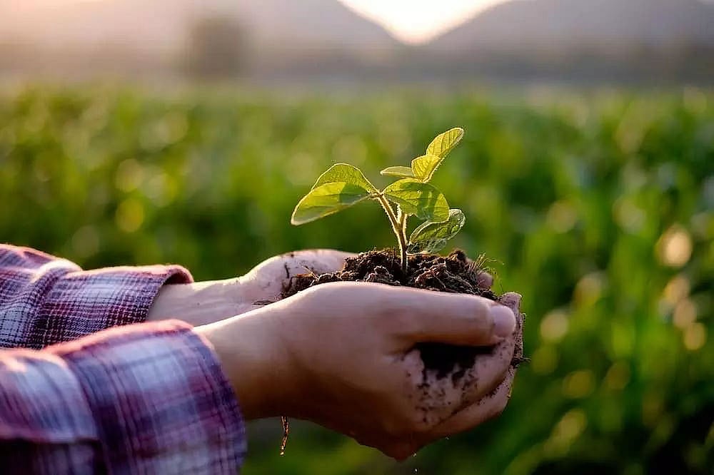 Ecosystem restoration strategy