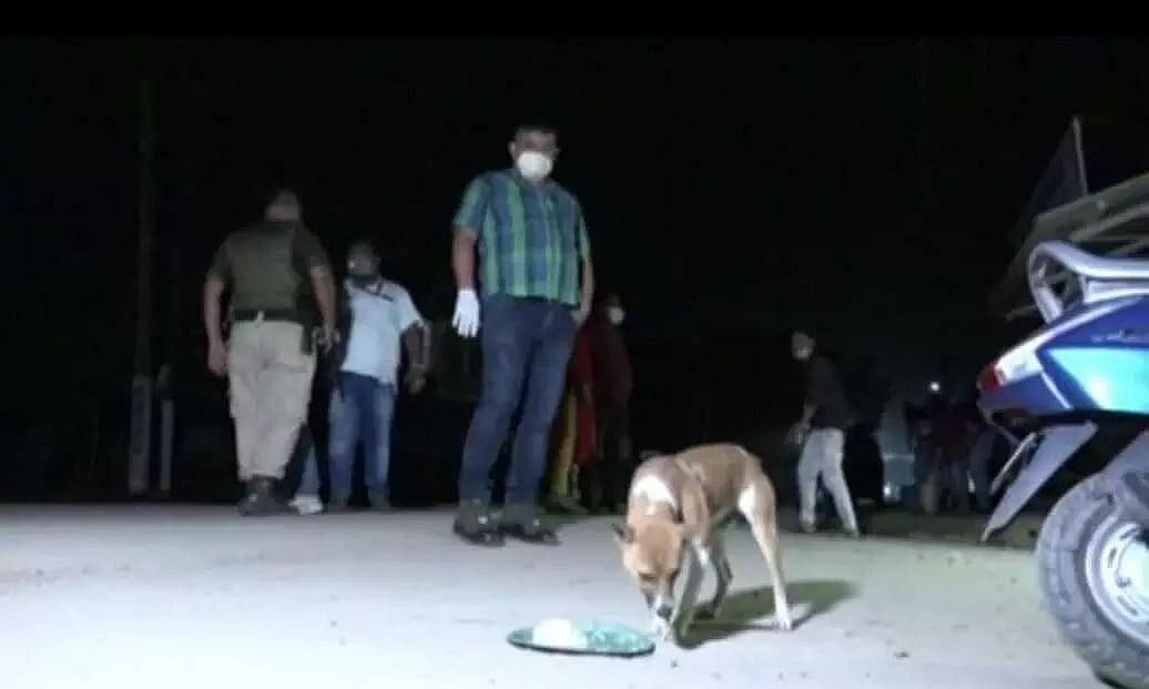 Namrup DSP Naba Kr Bora Feeds Starving Stray Dogs Every Night