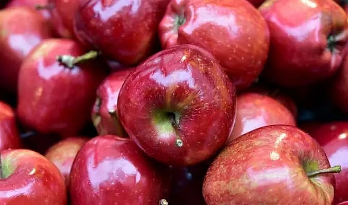 Arunachal town takes up apple cultivation