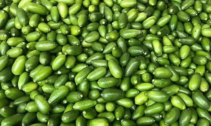 Assam: Cheleng Chuk To Be Soon Developed As 'Lemon Village' In Dibrugarh